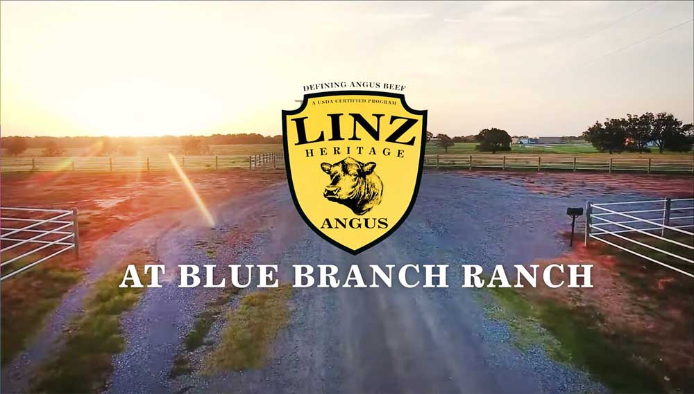Linz Heritage Angus buys Oklahoma ranch, will repurpose Crown Point ...