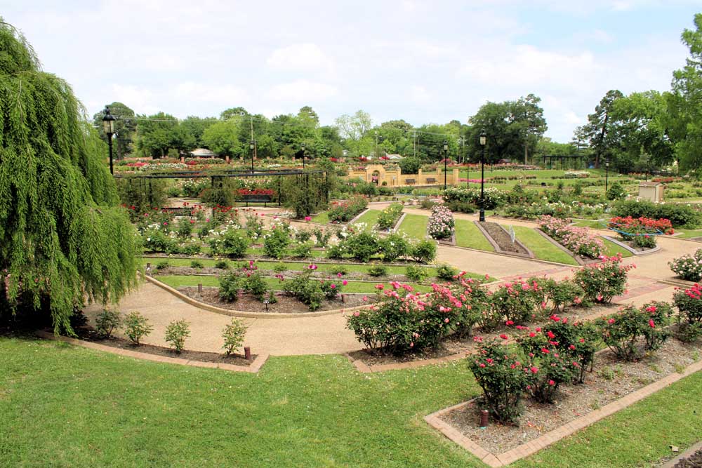 PHOTOS: Come see what is blooming at Tyler Rose Garden | Tyler Morning ...
