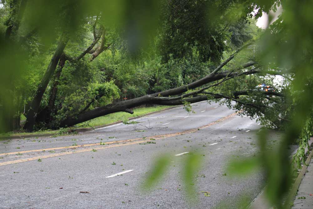 City of Tyler makes progress cleaning up limbs following severe storms ...