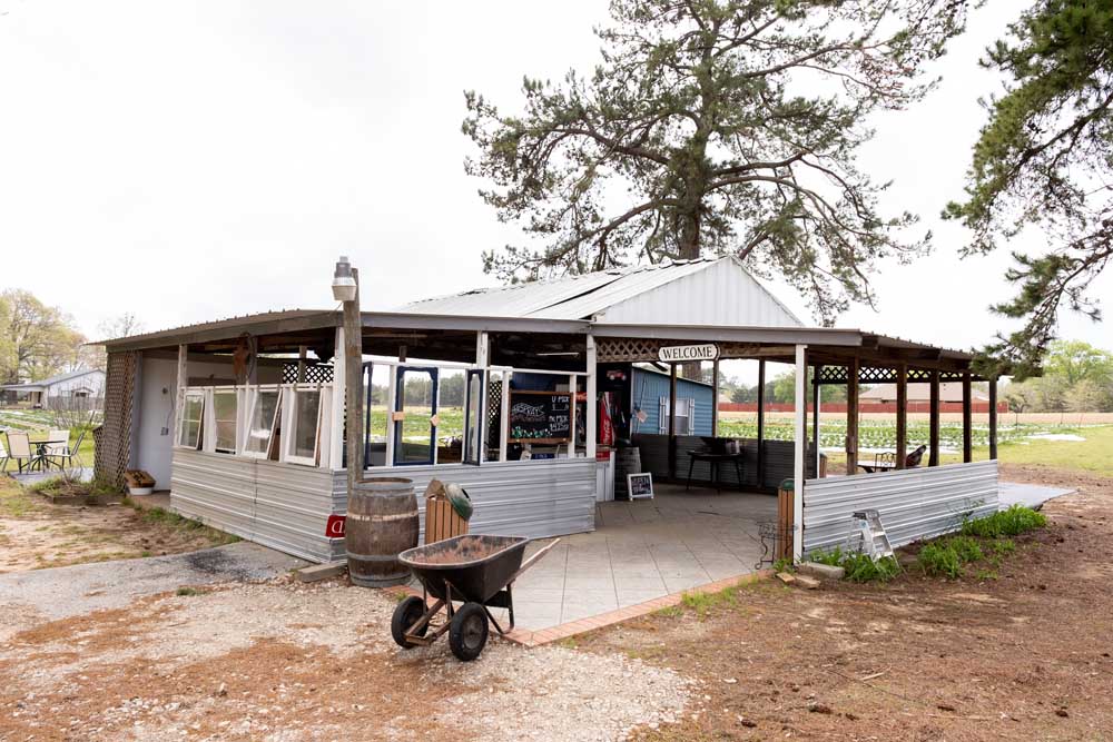 Tyler Berry Farm gears up for strawberry season, inaugural spring ...