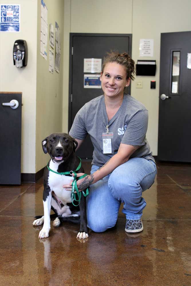 Animal control says adoptable dogs at risk of euthanasia due to ...