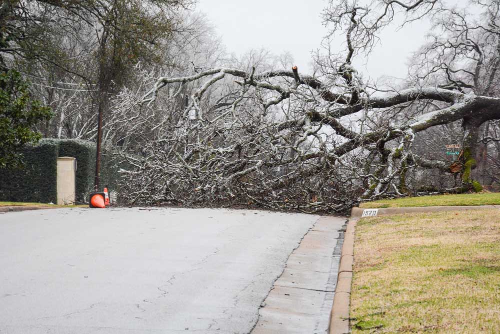 Smith County, City of Tyler weather response plan guides public on ...