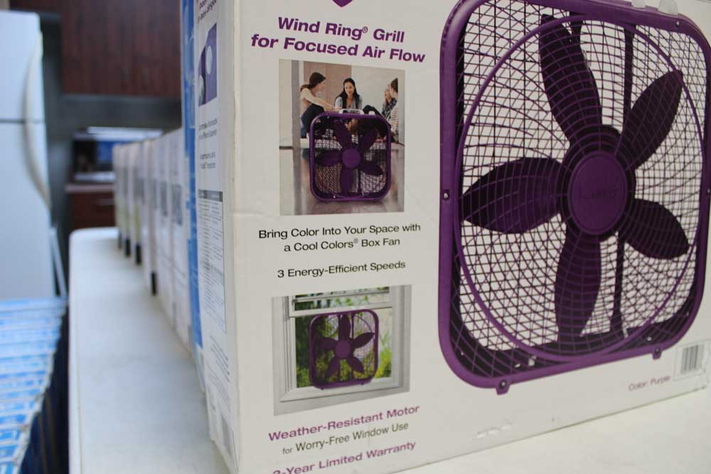 Tyler animal shelter offers free adoptions with donation of 2 box fans ...