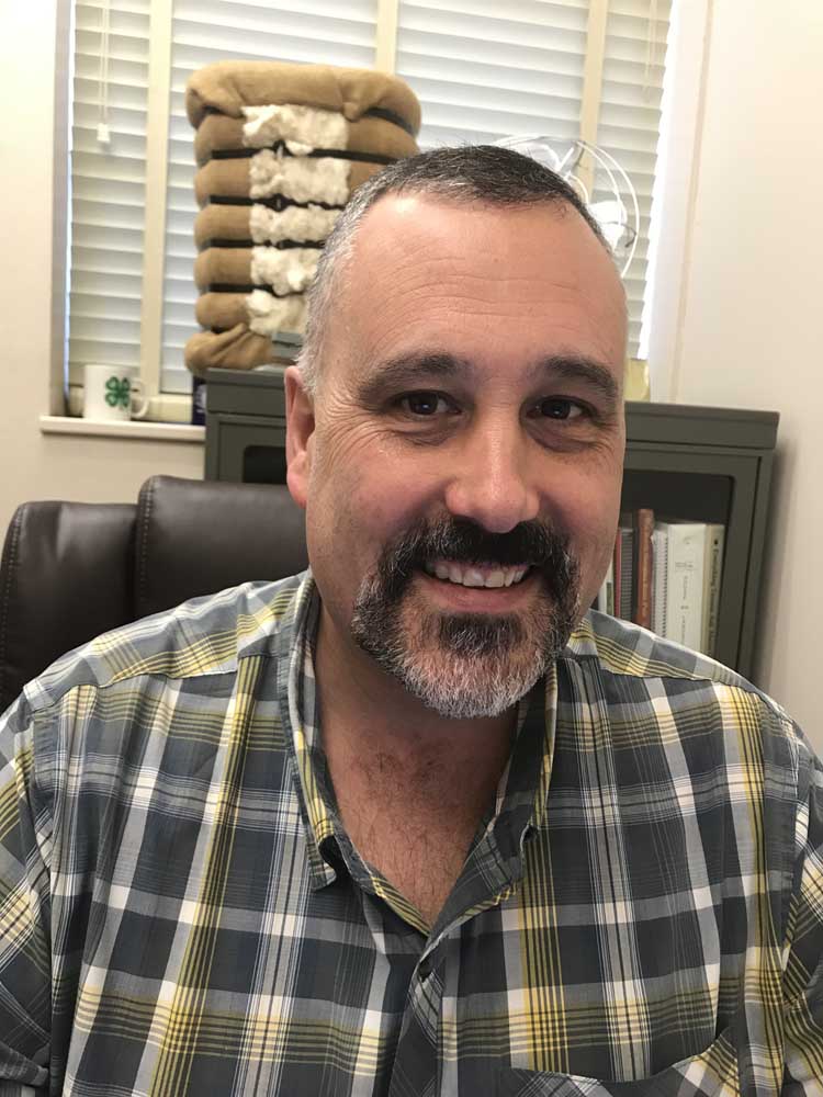 Combat armyworms in pastures and hay fields with insecticides | Tyler ...