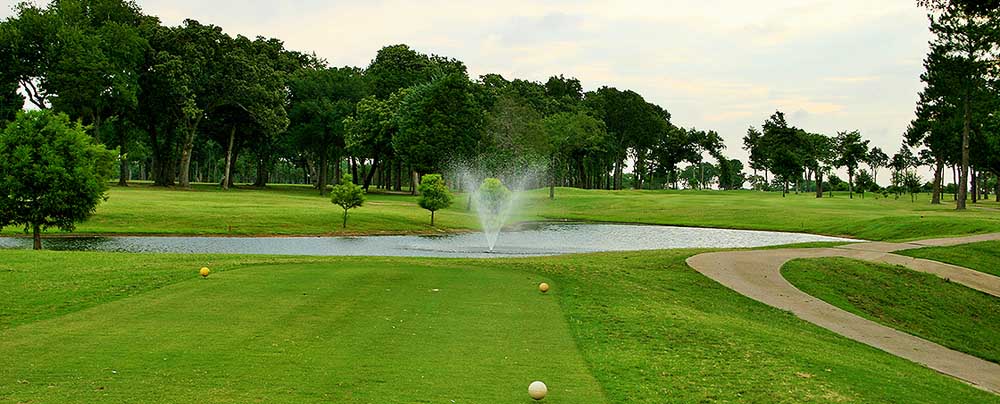 Bullard’s team, Canton’s Nelson earns state golf tournament bids ...