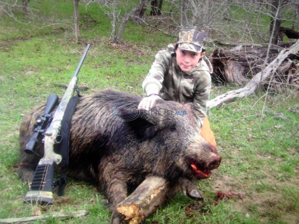 East Texas-based wild hog hunting competition opens Feb. 2 | Tyler ...