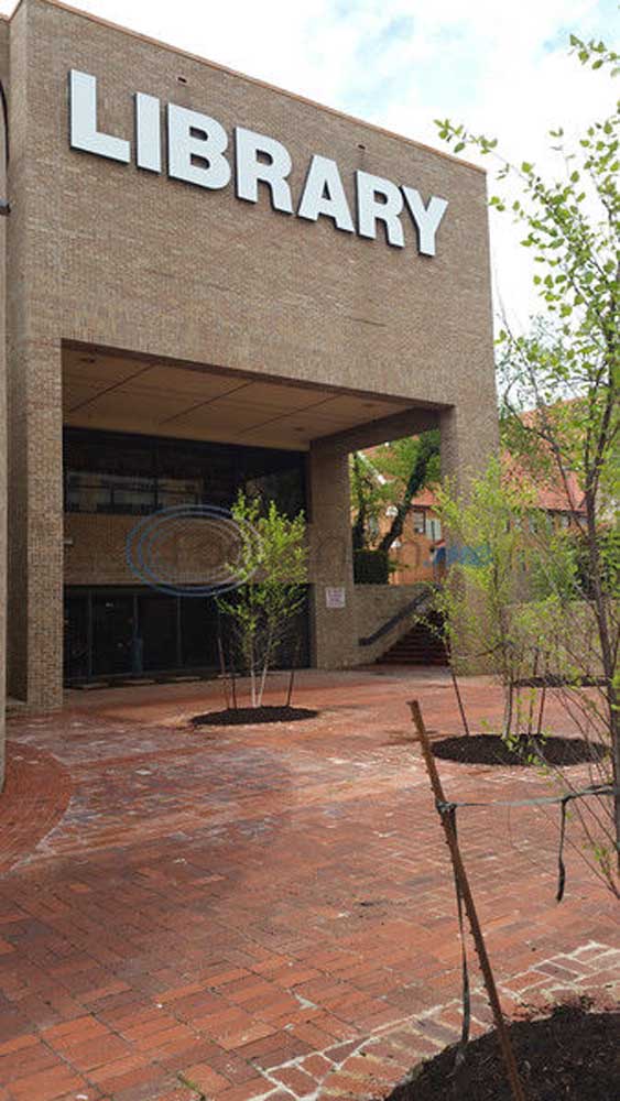 Shade trees planted at Tyler library | Tyler Morning Telegraph