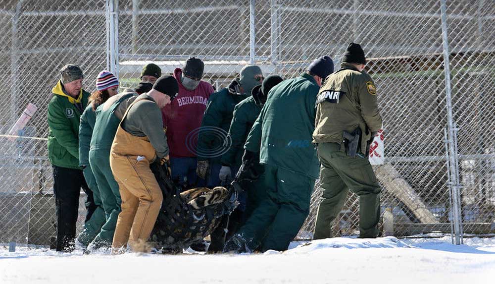 Ohio ‘Tiger Man’ fights for return of seized animals to sanctuary ...