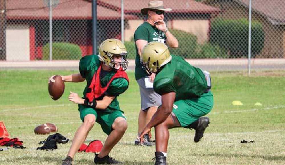 GOING GREEN | Tyler Morning Telegraph