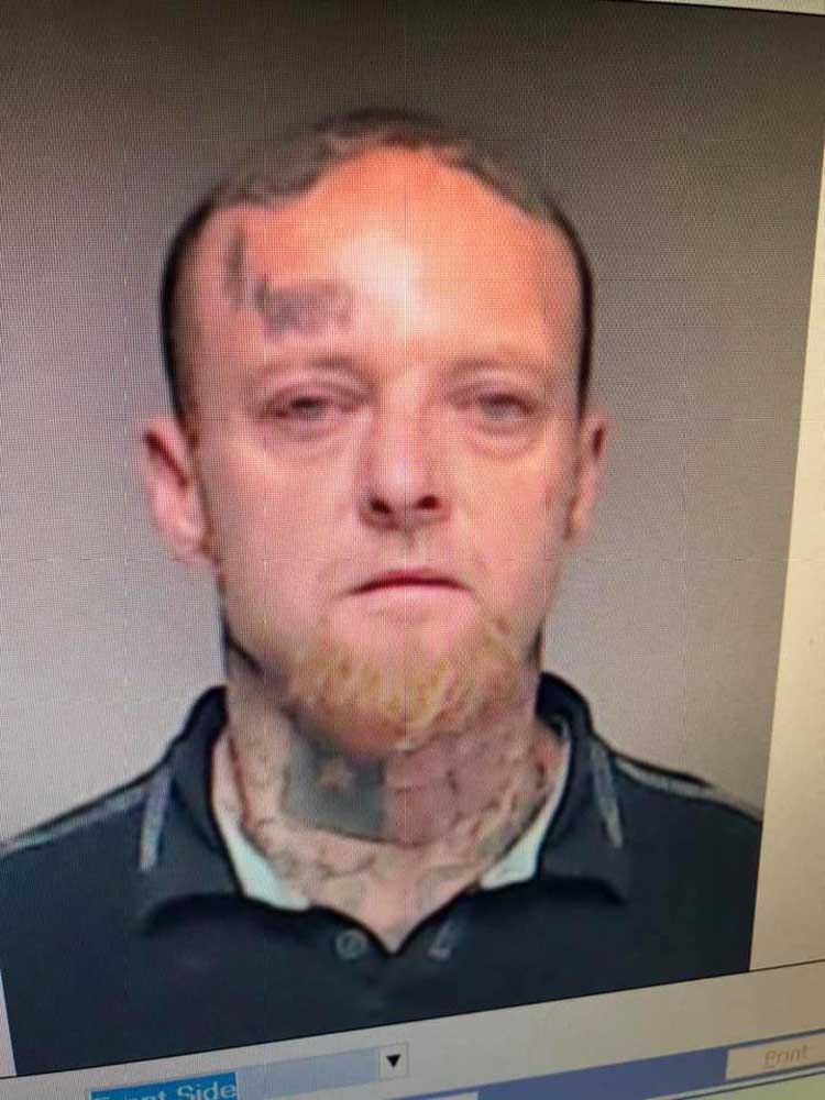 Aryan Circle gang member taken into custody after manhunt in Wood ...