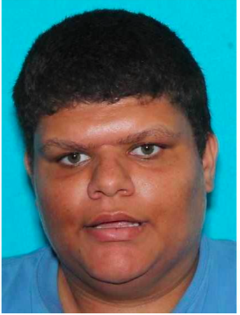 Critical missing woman reunited with family after wandering into woods ...