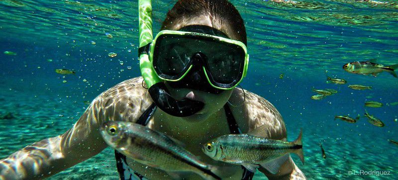 TPWD hosts public meetings on changes at Balmorhea State Park | Tyler ...