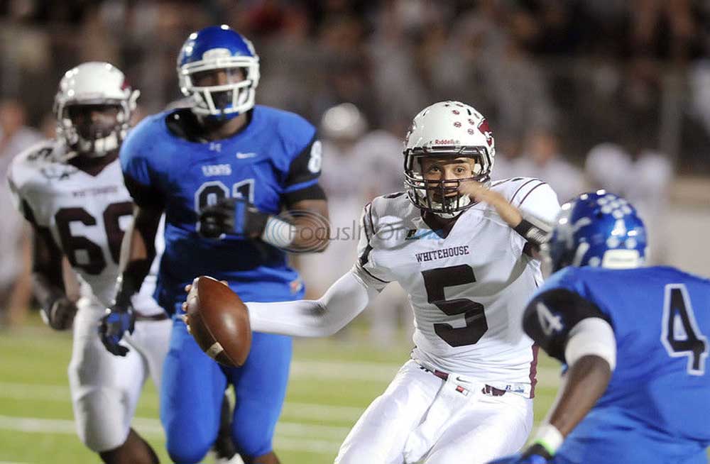 Top Cats: Lions, Wildcats honored on 16-4A team | Tyler Morning Telegraph