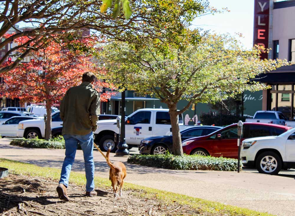 Cold front drops temperatures in Tyler area | Tyler Morning Telegraph