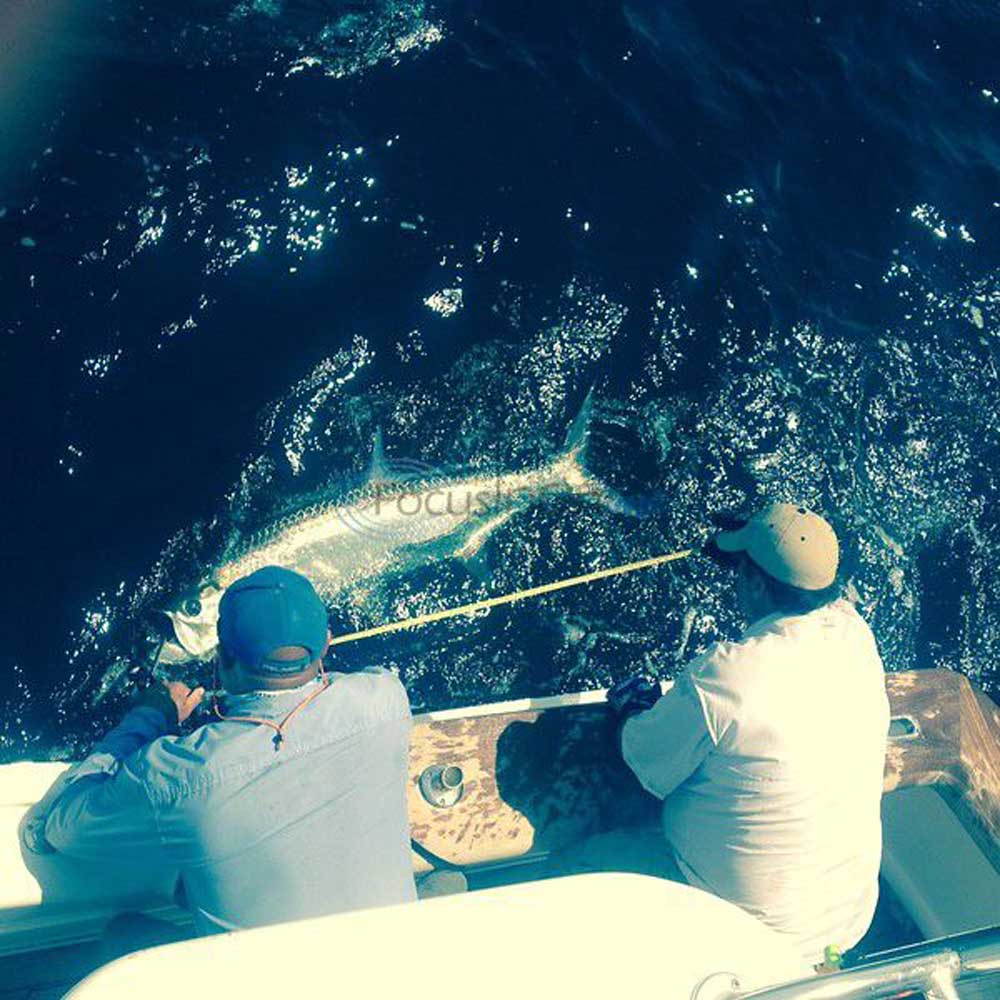 East Texans catch 100-pound fish | Tyler Morning Telegraph