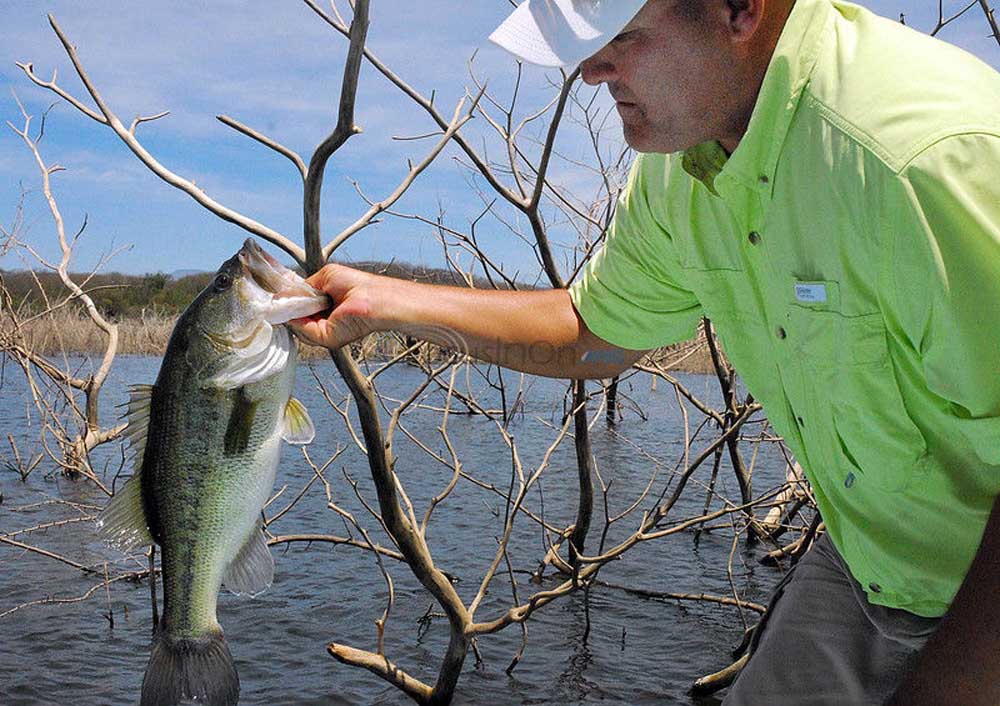 Tyler Paper Outdoors planning picachos trip | Tyler Morning Telegraph