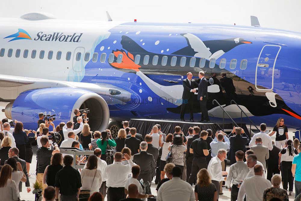 Southwest unveils latest jet image: Penguin One | Tyler Morning Telegraph