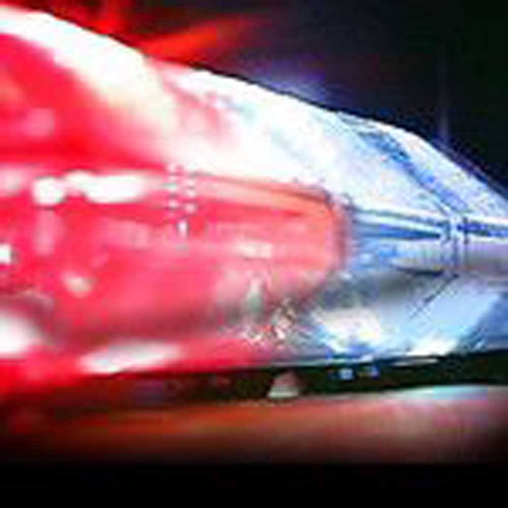 Dog named Trigger shoots owner during Indiana waterfowl hunt | Tyler ...