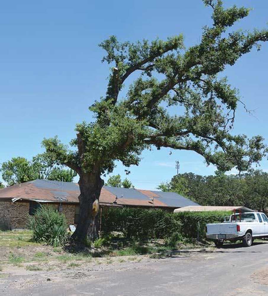 OUT OF DISASTER, HOPE | Tyler Morning Telegraph