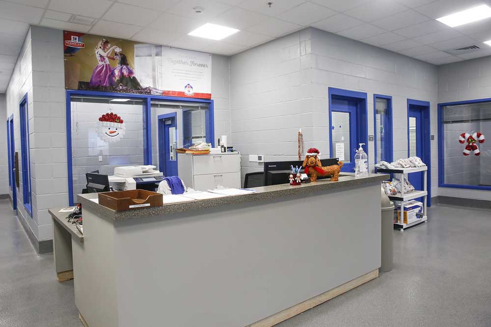 Tyler Animal Shelter sees more adoptions in 2017, increase in owner ...