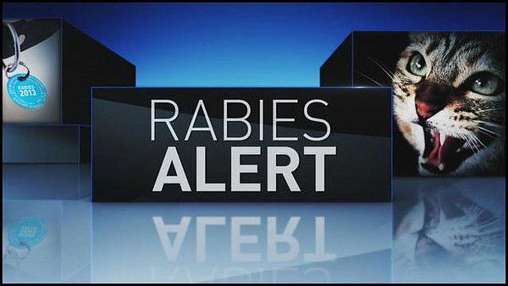 Rabies risk high in East Texas | Tyler Morning Telegraph