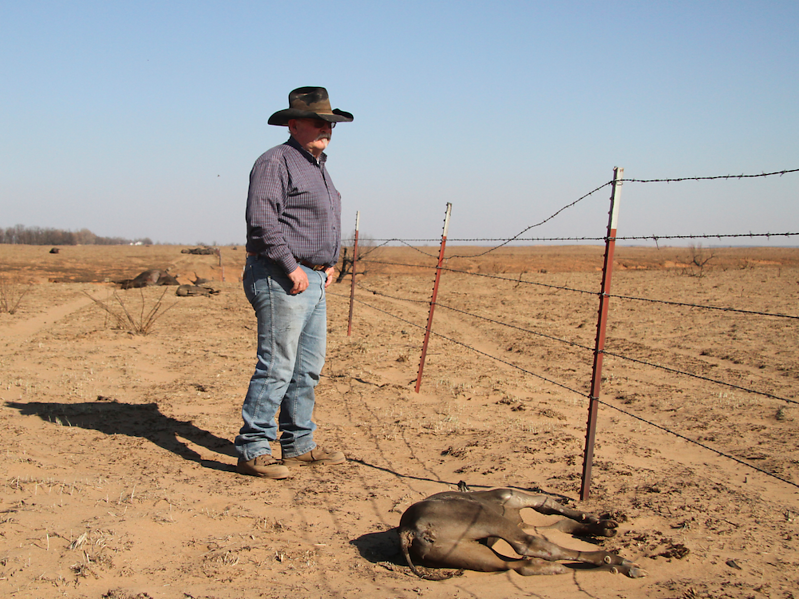 Officials say Kansas wildfires are under control | Tyler Morning Telegraph