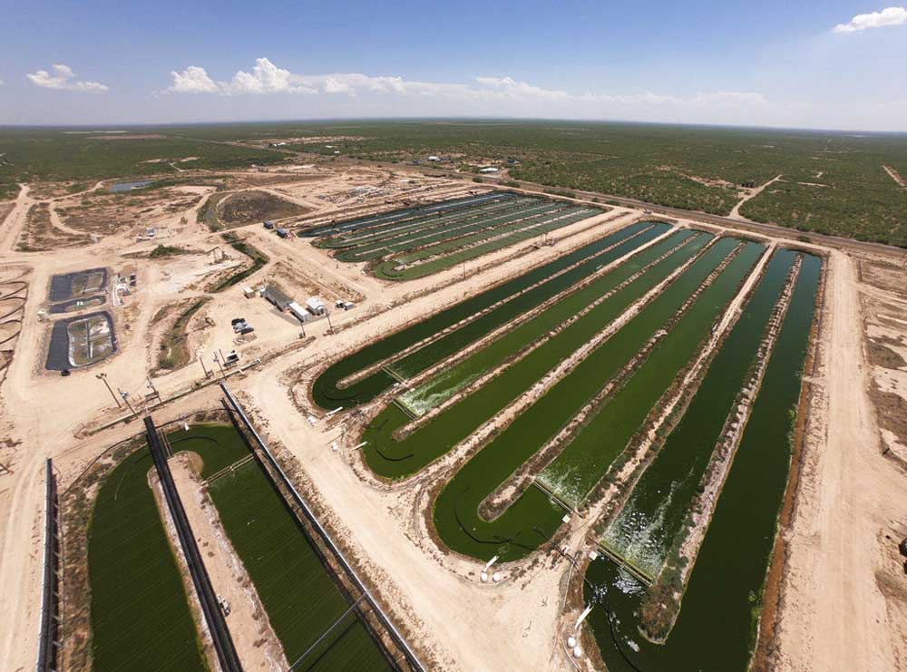 West Texas algae farm cultivates nutrients on massive scale | Tyler ...