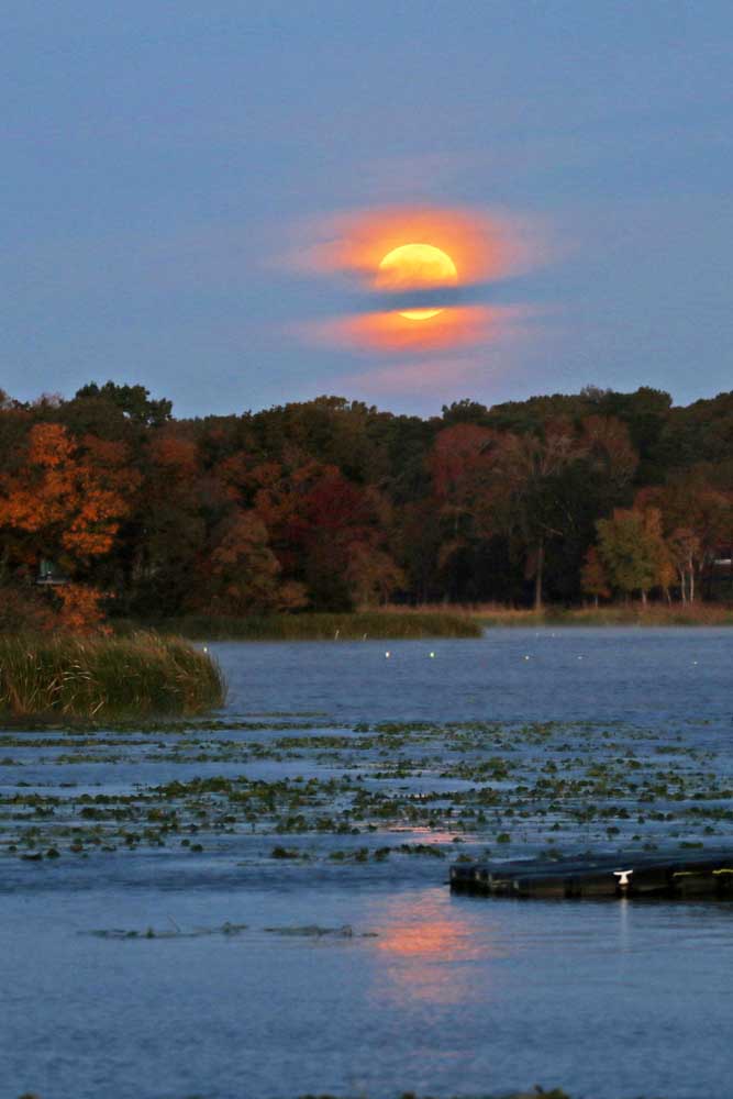 Best Shots: Friday, Nov. 15, 2019 | Tyler Morning Telegraph