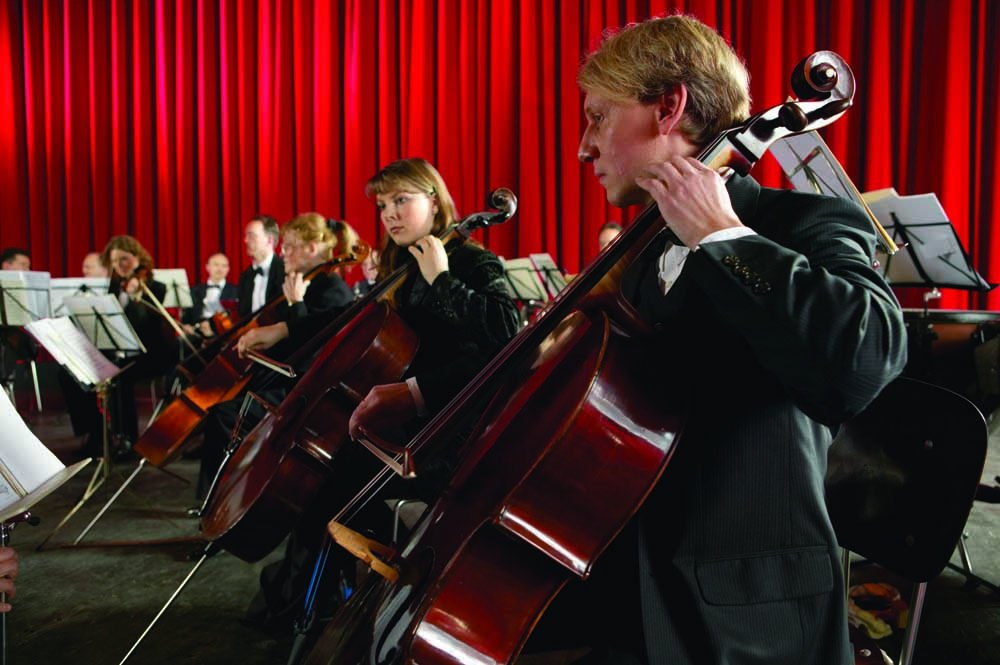 Viola player wins legal case over orchestral ear damage | Tyler Morning ...