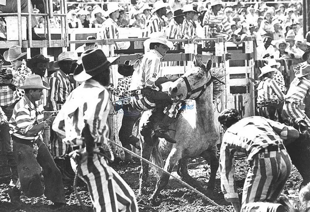 Farewell to the Texas Prison Rodeo | Tyler Morning Telegraph