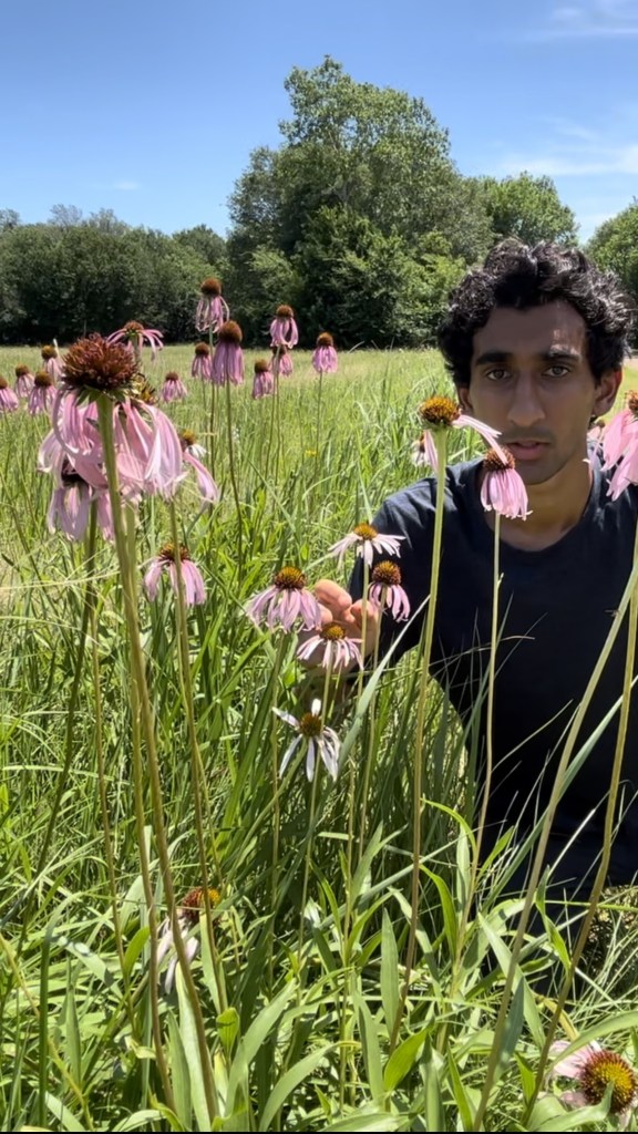 Budding botanist: Cornell intern studies in East Texas | Tyler Morning ...