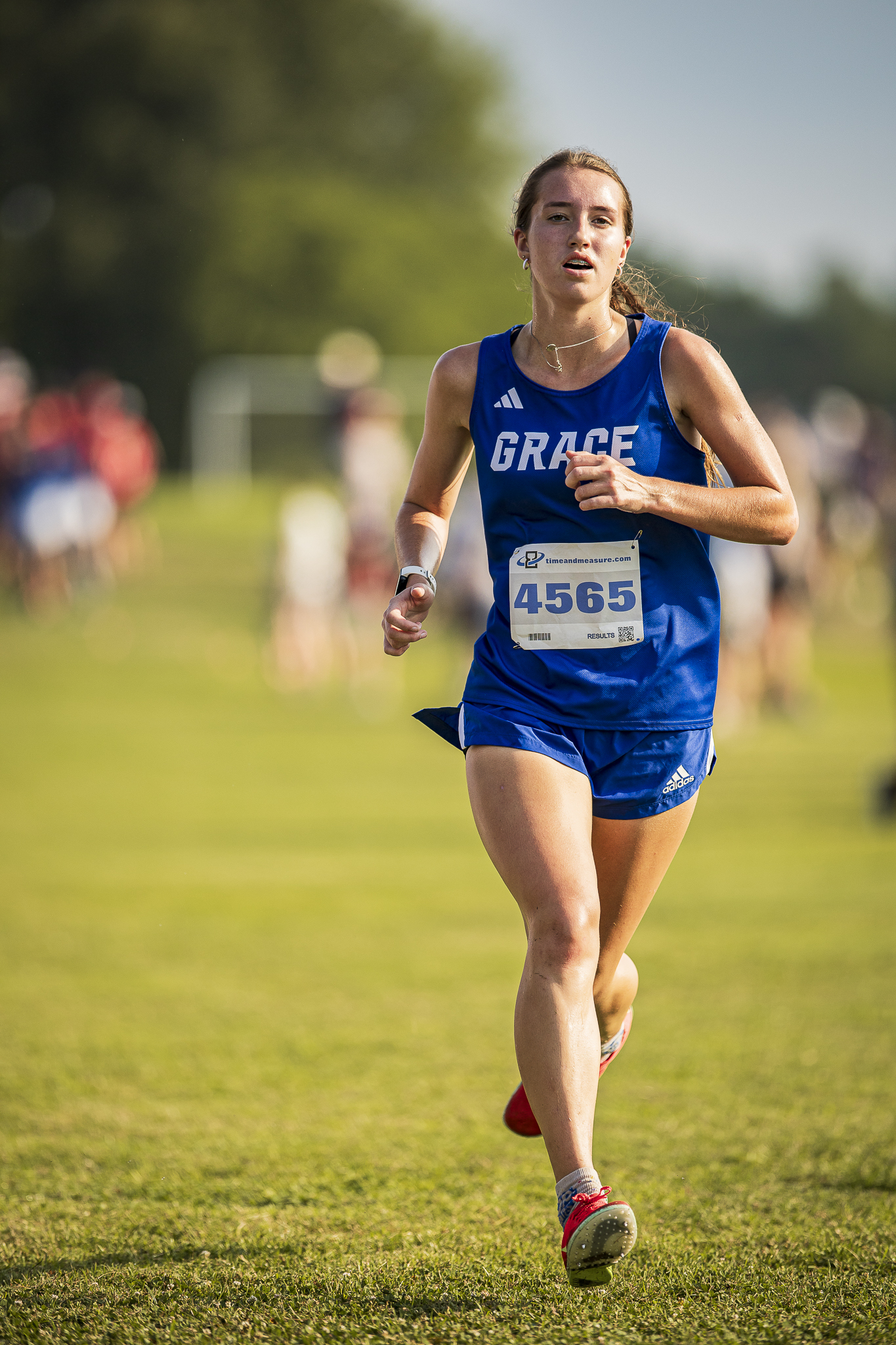 Area runners set to compete in Pine Tree Mike Darby Cross Country ...