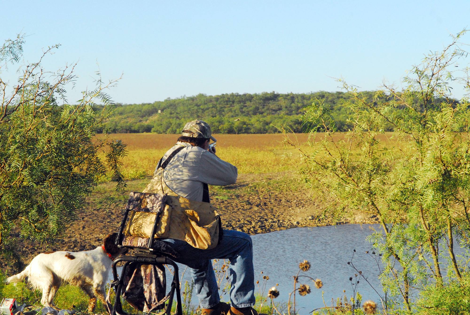 A New Year: Dove season is the perfect start to fall hunting | Tyler ...