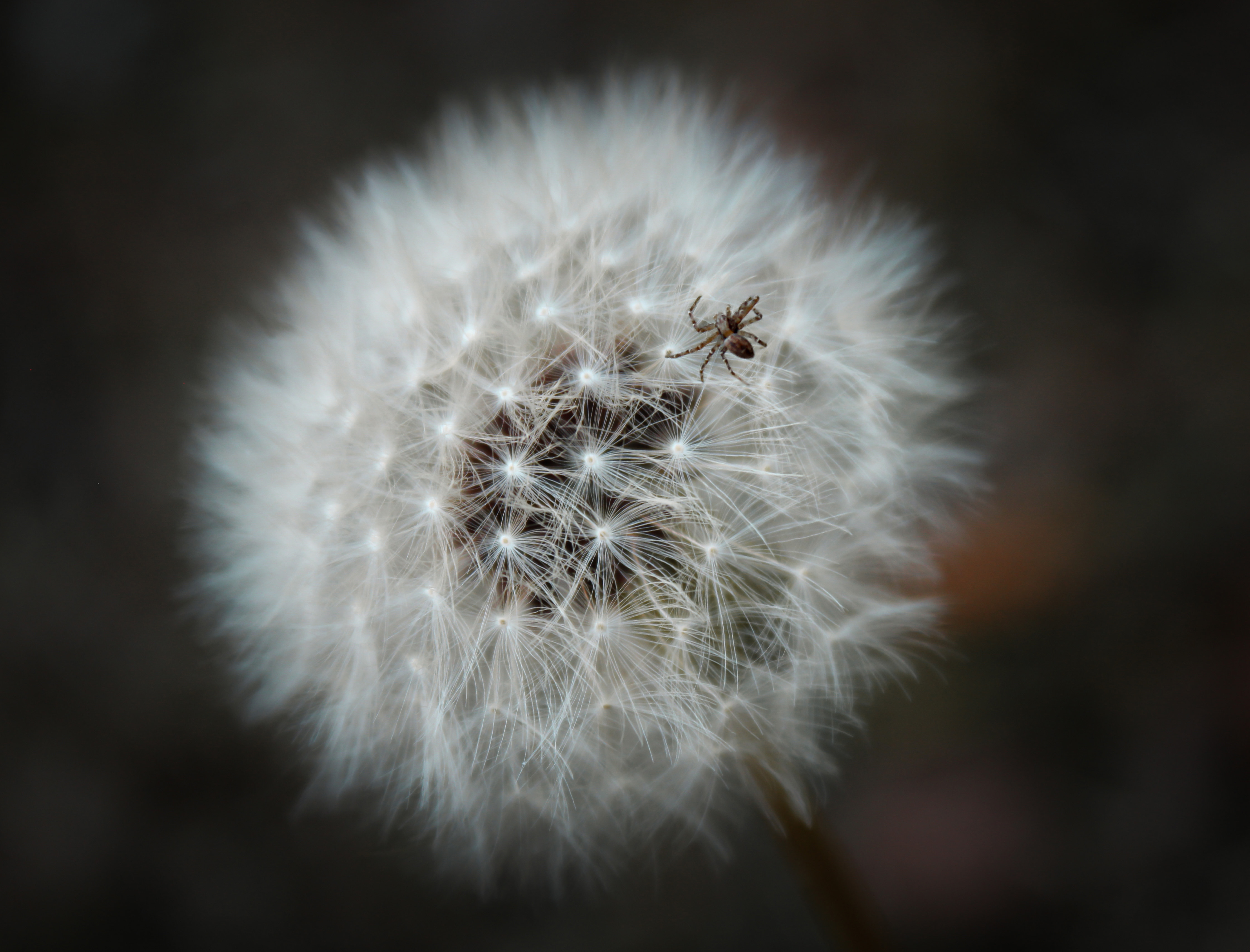 PHOTOS: Our readers’ Best Shots from Jan. 2-8, 2026 | Tyler Morning ...