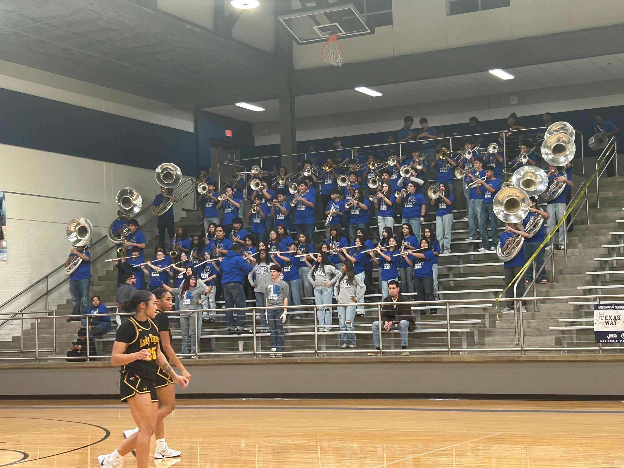 Girls Basketball: Whitehouse LadyCats move to 30-0, Chapel Hill stays ...