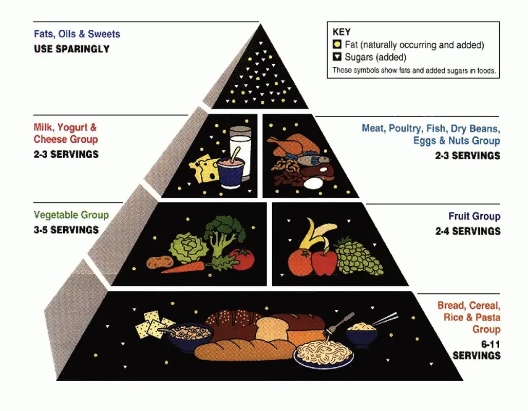 UT Health Tyler dietitian weighs in on new federal food pyramid and ...